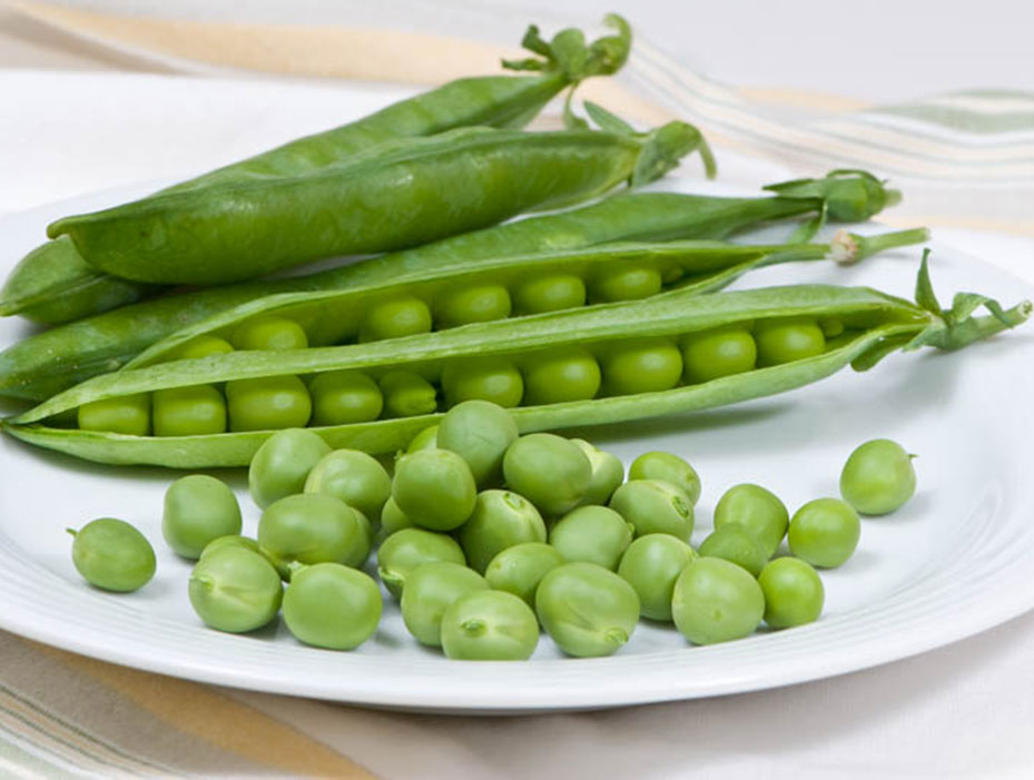 EnglishPeas – Travis County Master Gardeners Association